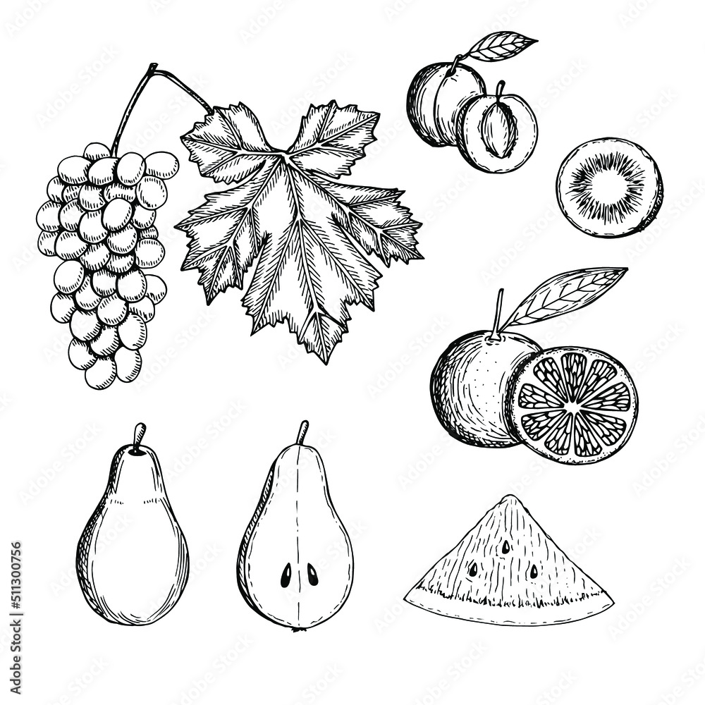 Fruit set vector illustration, hand drawing sketch Stock Vector | Adobe ...