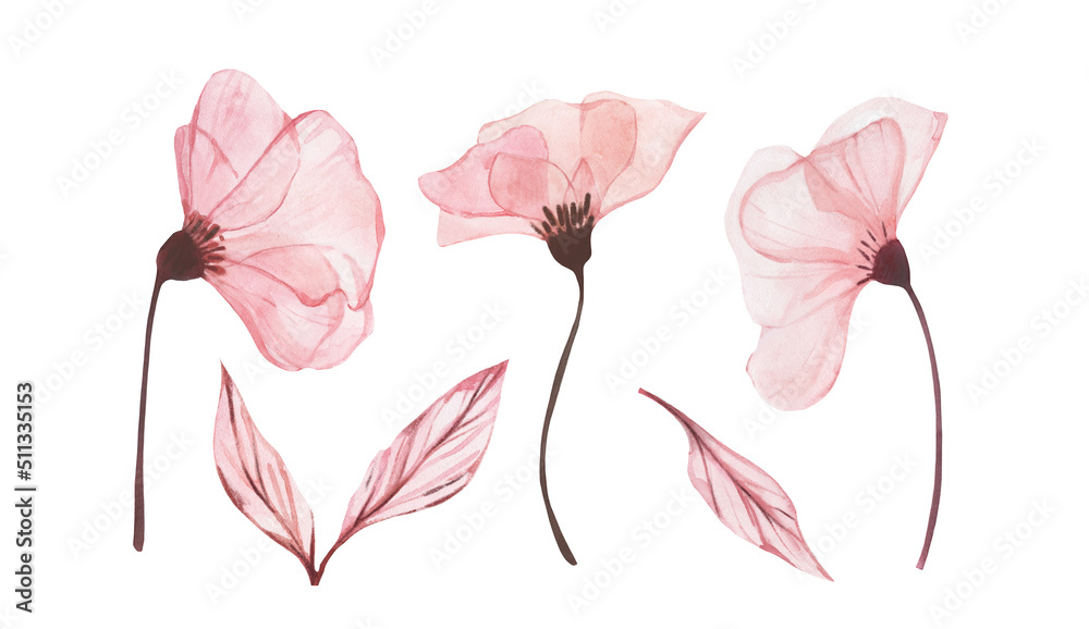 Beautiful natural pink hand painted peony flowers in pastel rose pale ...