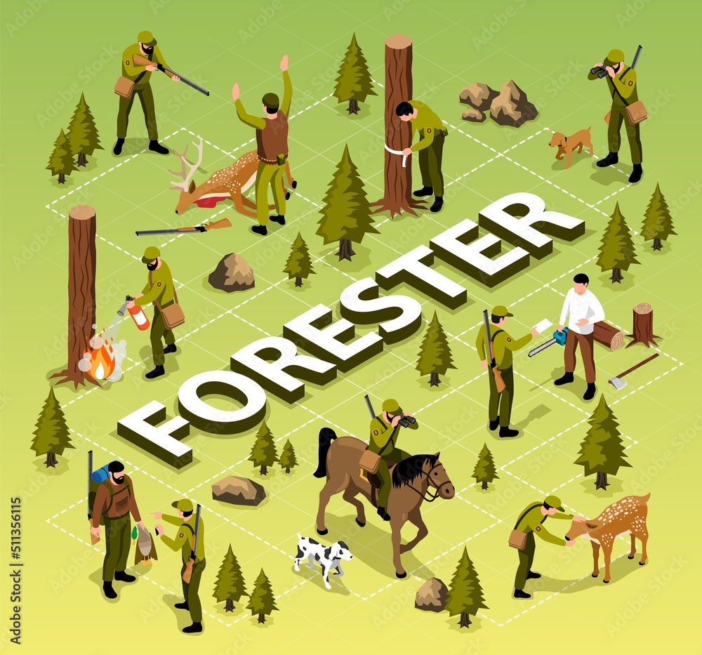 Isometric Forester Flowchart Stock Vector | Adobe Stock