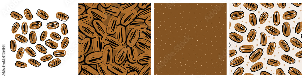 Pecan nut seeds clipart and background. Healthy food, praline ...