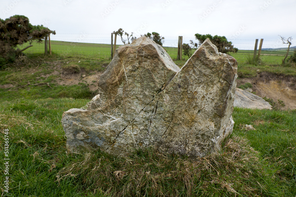 Nine Maidens stone row Cornwall all the stones are of quartz the north ...