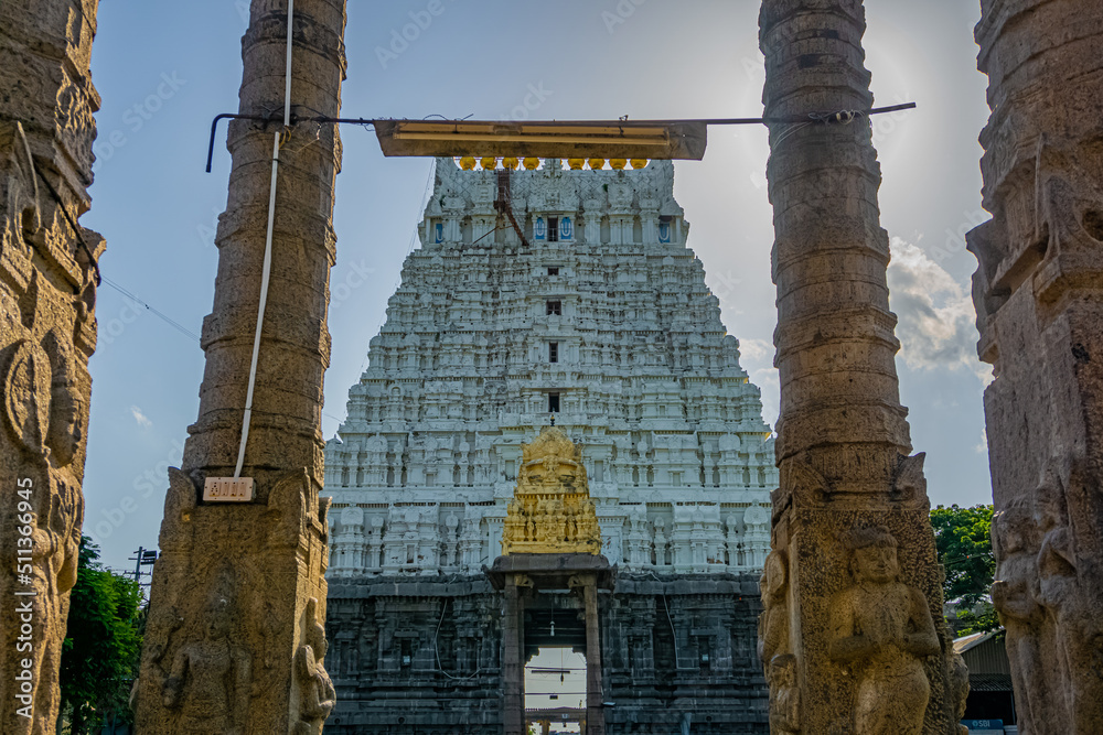 The Varadharaja Perumal Temple and Lord Atthi Varadar Perumal god ...