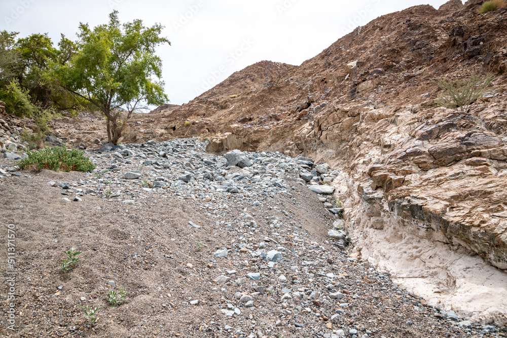dry riverbed between arid and rocky Mountains of Ras Al Khaimah ...