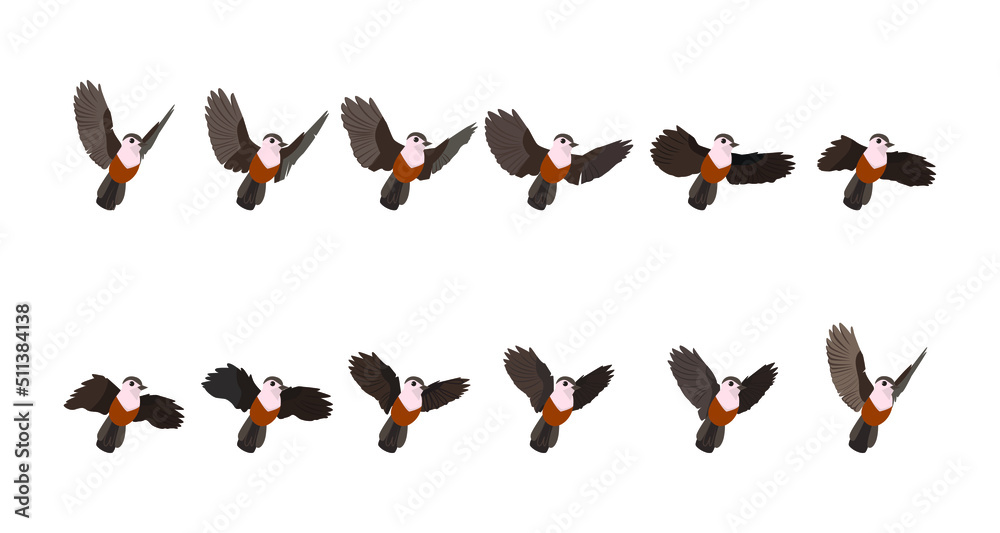 Full animation of bird flight. Sprites for animation. Stock Vector ...
