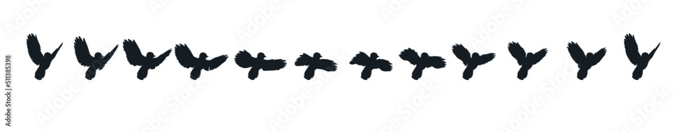 Poster A complete cycle of bird flight animation – Wall Art | UkPosters
