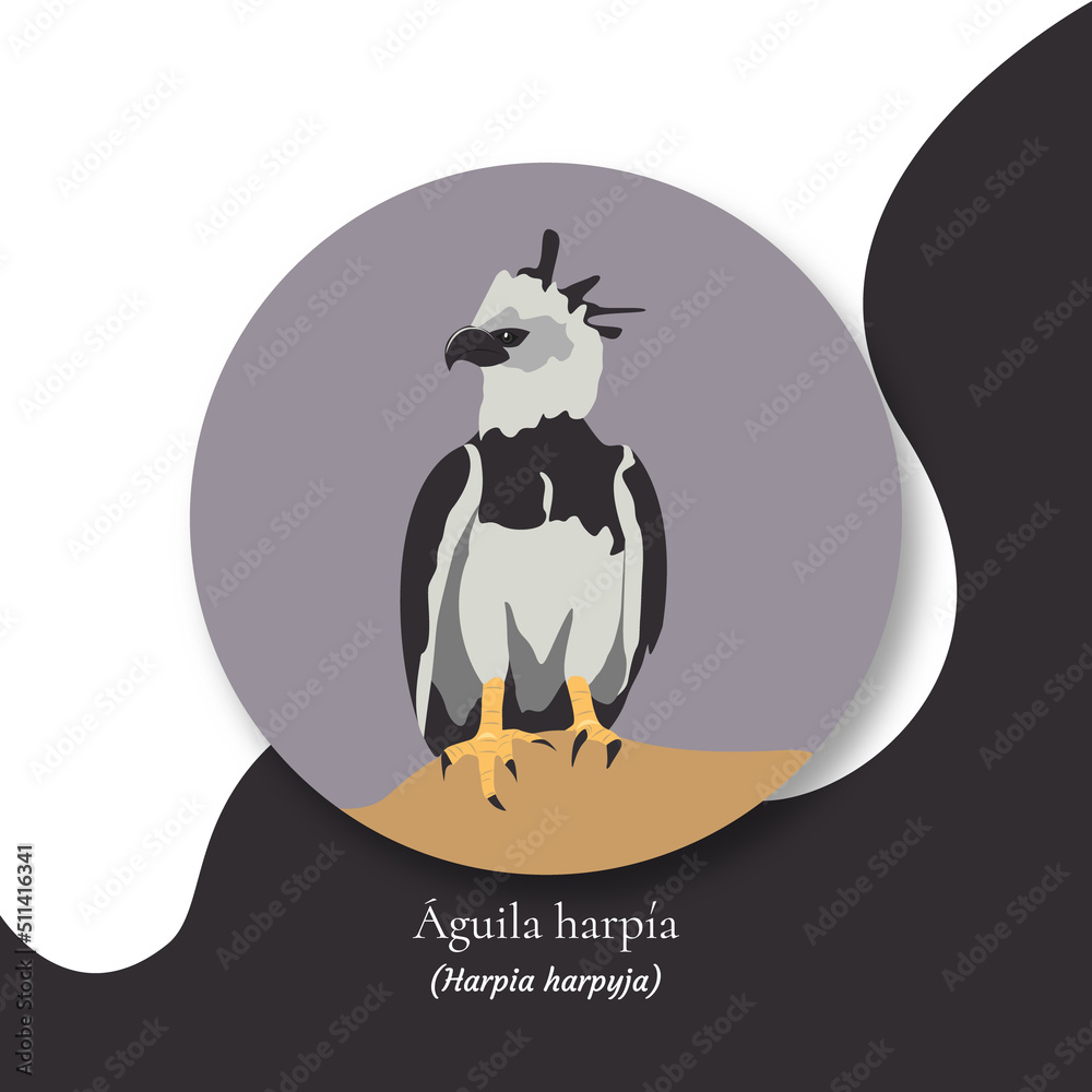Bird illustration, Harpy eagle, National bird of Panamá Stock Vector ...