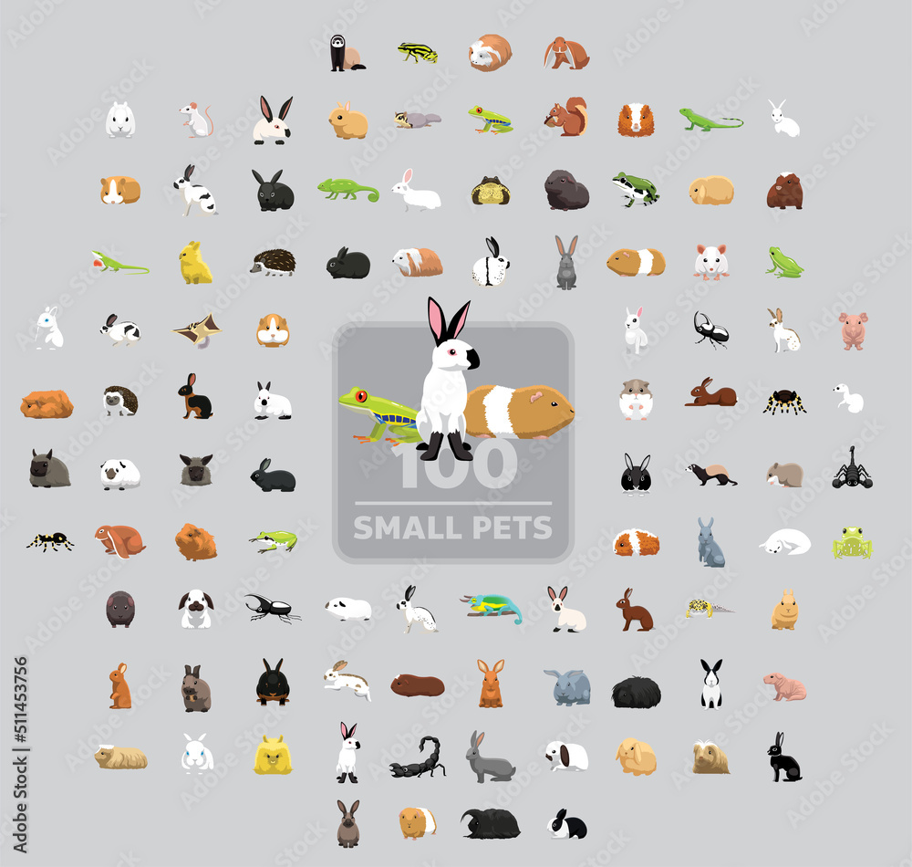 One Hundred Small Pets Cartoon Vector Illustration Set Stock Vector ...