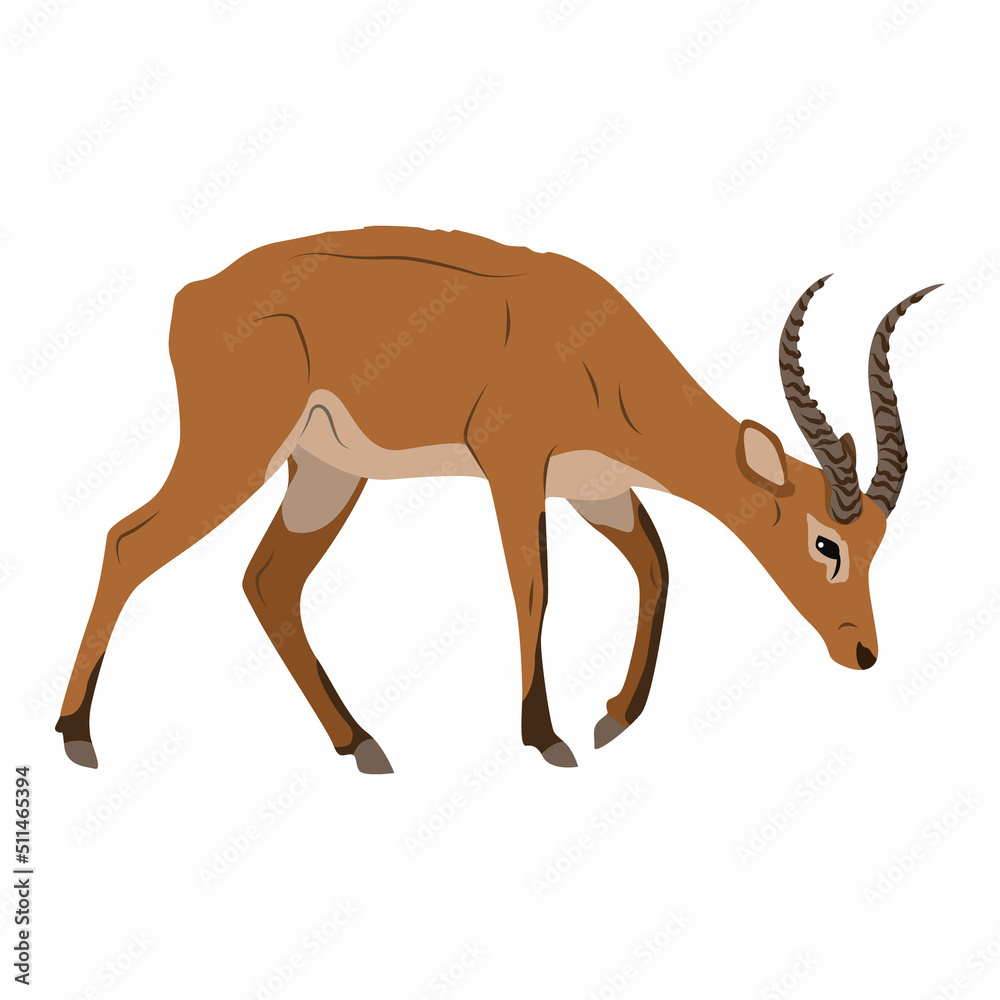 Antelope kob with big horns. Wild Mammals of Central Africa. Realistic ...
