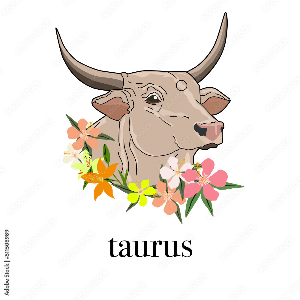 Taurus. 12 zodiac signs. Line art and beautiful colorful flowers. Black ...