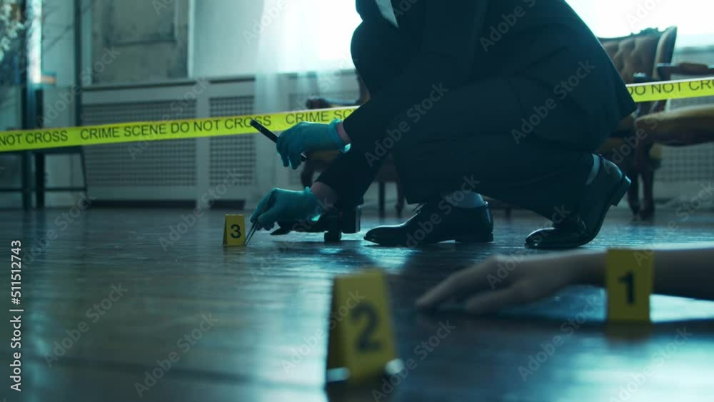 Detective Collecting Evidence in a Crime Scene. Forensic Specialists ...