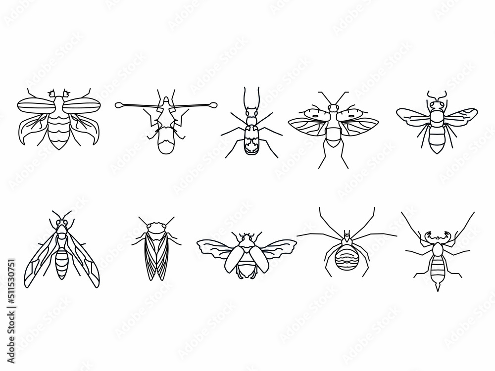 insect line art icon collection Stock Vector | Adobe Stock