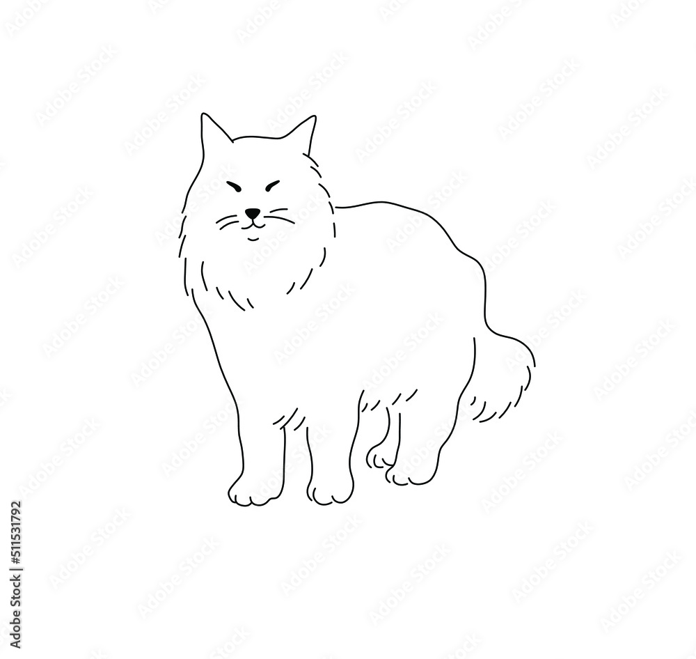 Vector isolated standing maine coon cat colorless black and white ...