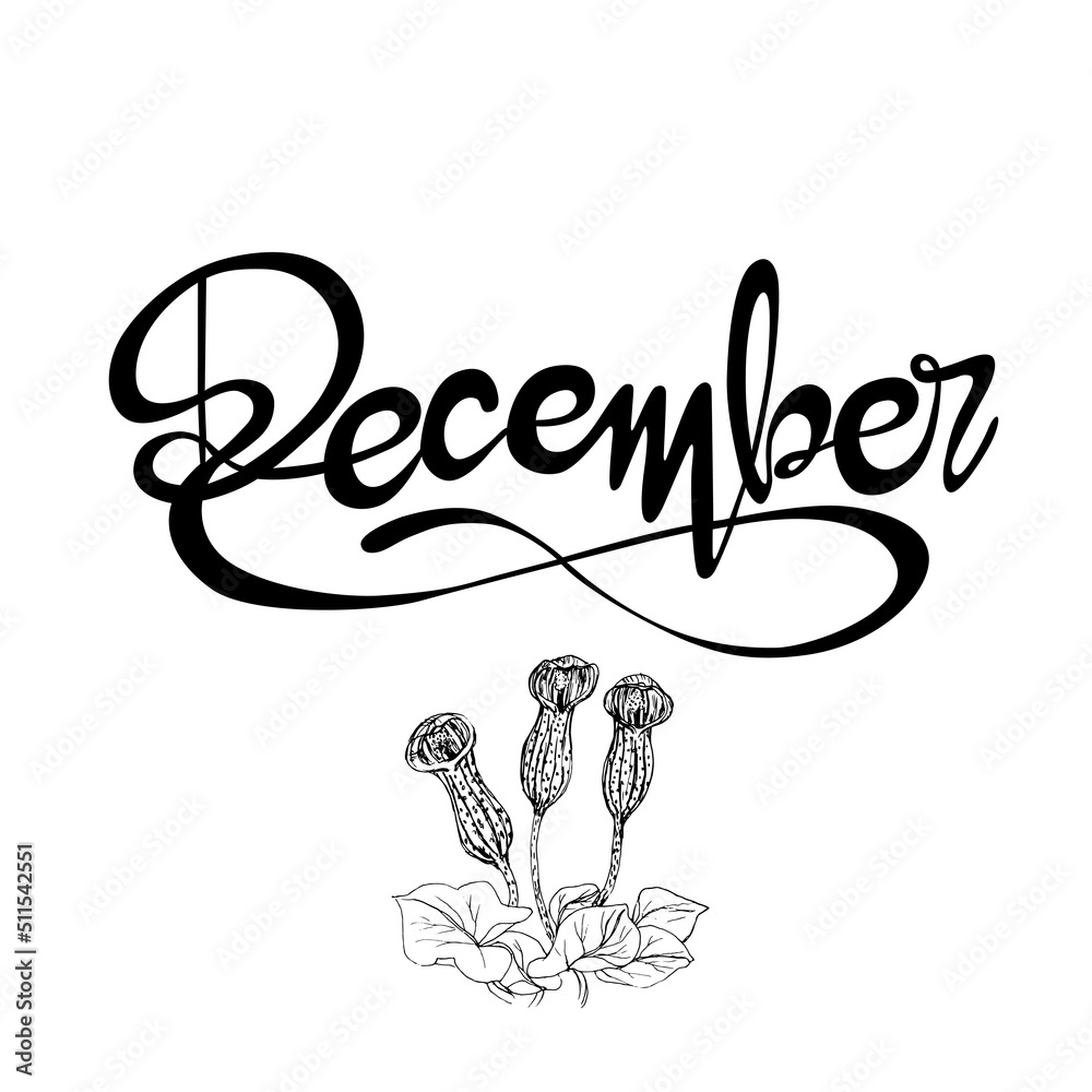 Letrero de letras escritas a mano y vectorizado "December". Recurso ...