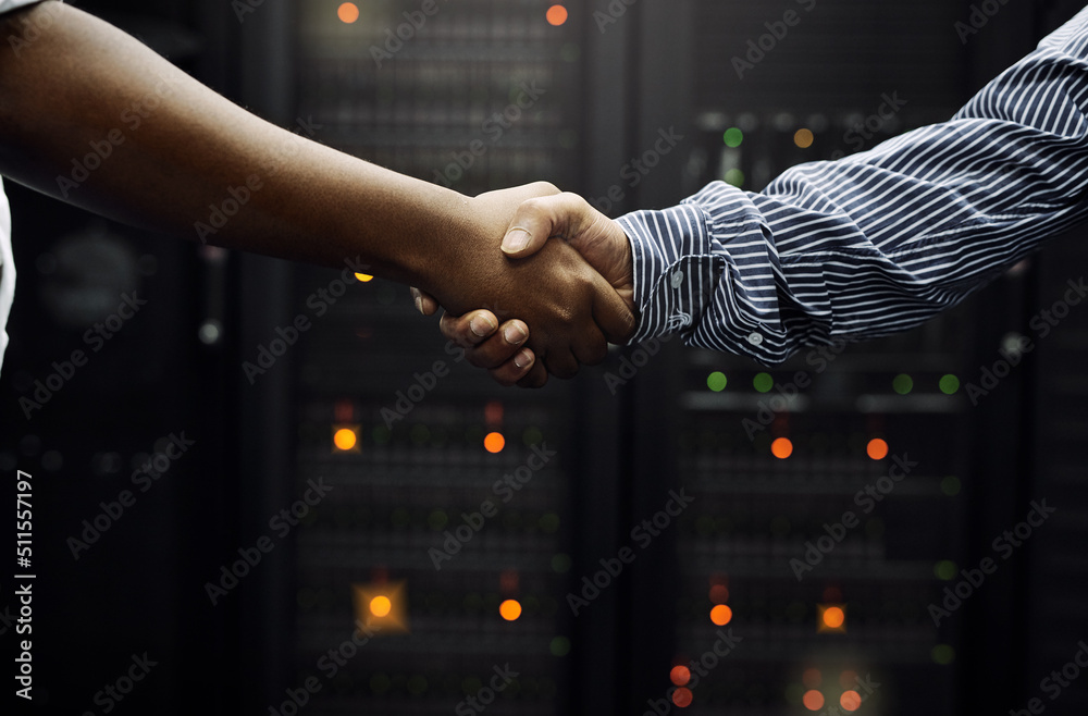 Paired up for professional IT service. Cropped shot of two ...