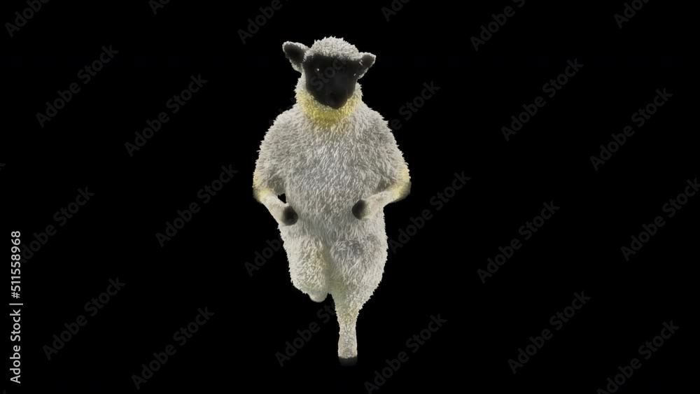 Sheep Dancing, Animal, 3d rendering, Animation Loop, cartoon, included ...