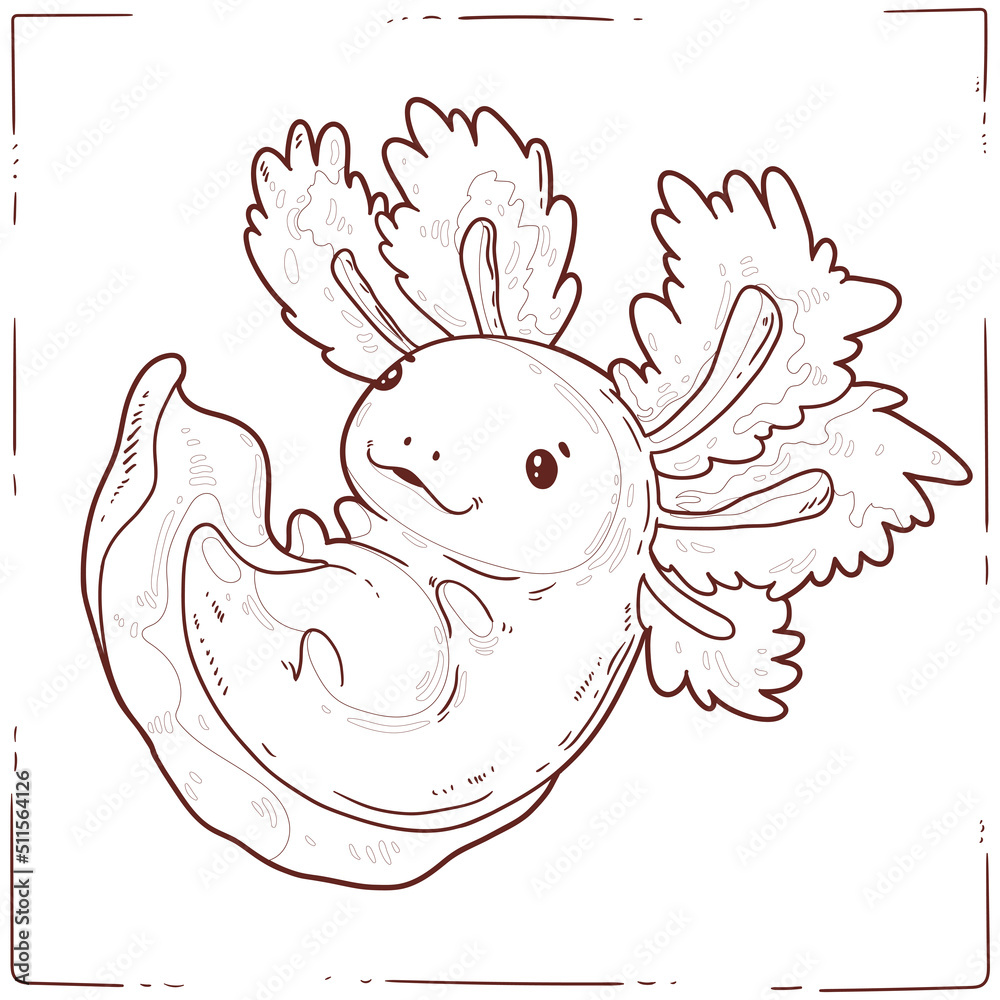 Axolotl, a Coloring Sheet. Cartoon outline picture of playful baby ...