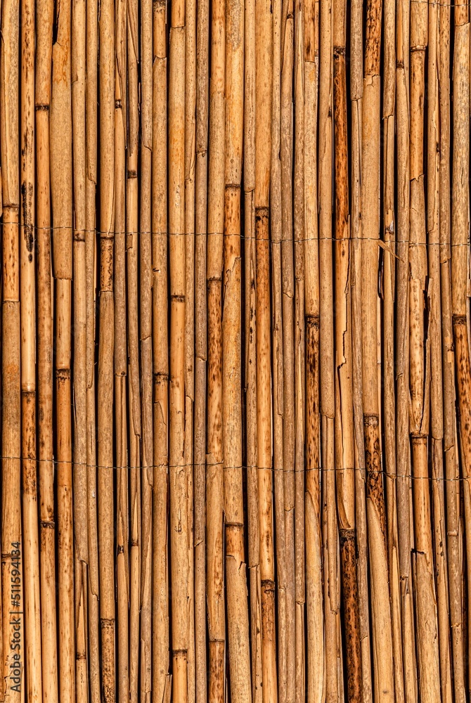 Fondo con detalle y textura de cañas en tonos marrones Stock-Foto ...