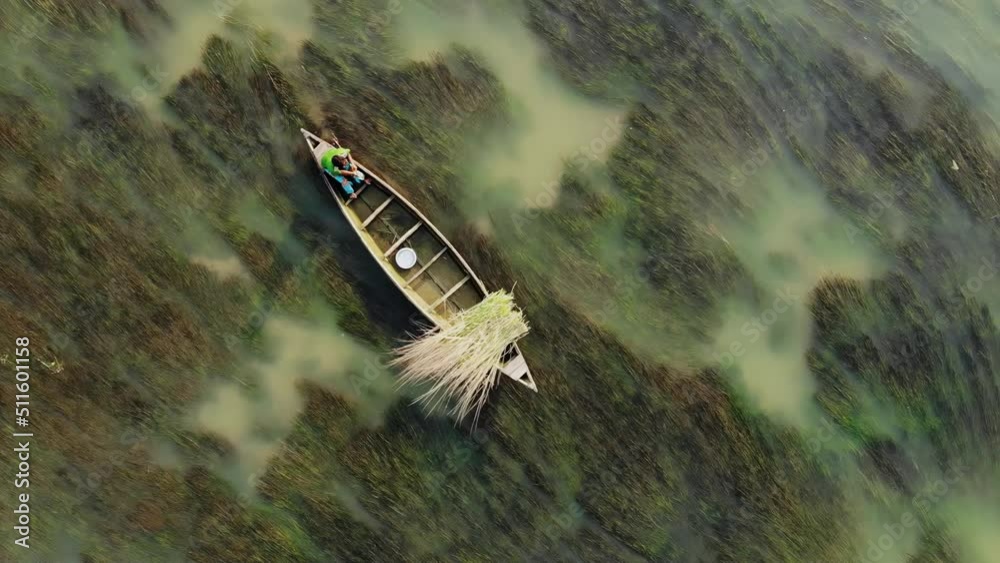 Boating through algae covered river in Bangladesh. Explore tranquil ...