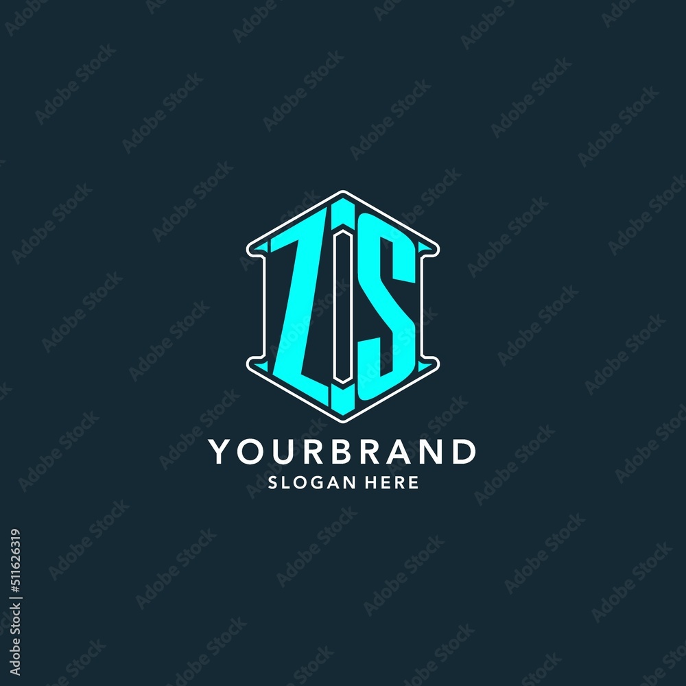Letter ZS logo with hexagon shape geometric style design idea Stock ...