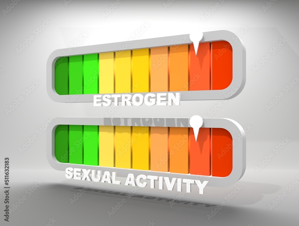 Sexual activity and estrogen meter scales. The libido level measuring ...