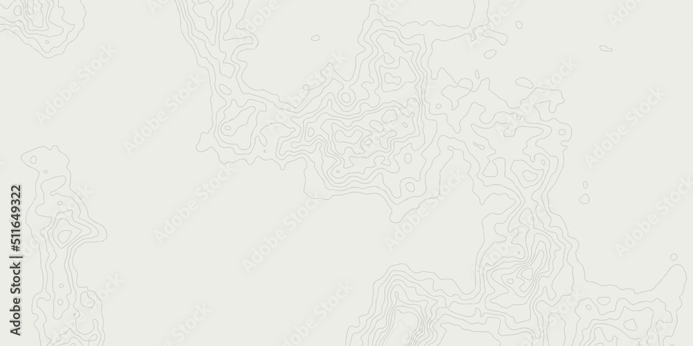 Abstract Topographic Contours Map Background Vector Geographic Contour
