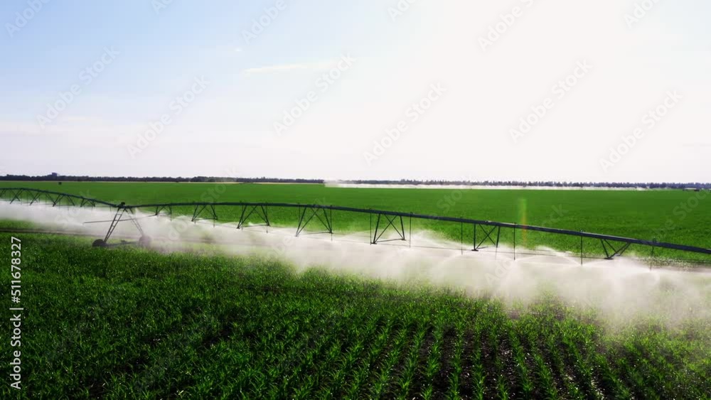 Cinematic nature at sunset. Flying above the water spraying the green ...