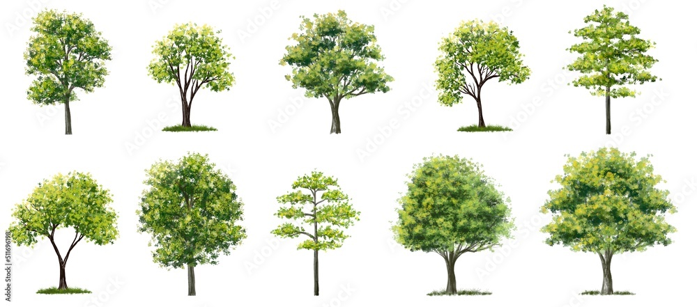 Set of watercolor of tree side view isolated on white background for ...