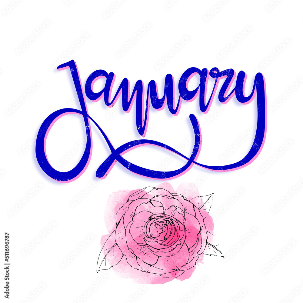 Cartel tipo Lettering "January". Letrero de letras escritas a mano con ...