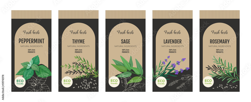 Herb tea label. Package with nature, organic peppermint, thyme and sage ...