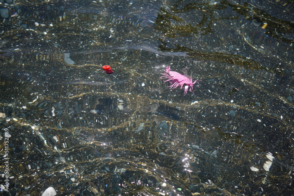 The water surface on which a lot of debris and plastic floats. Stock ...