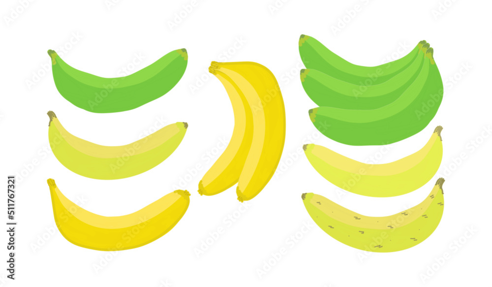 Bananas, yellow and green fruits, single and in bunches, color drawing ...