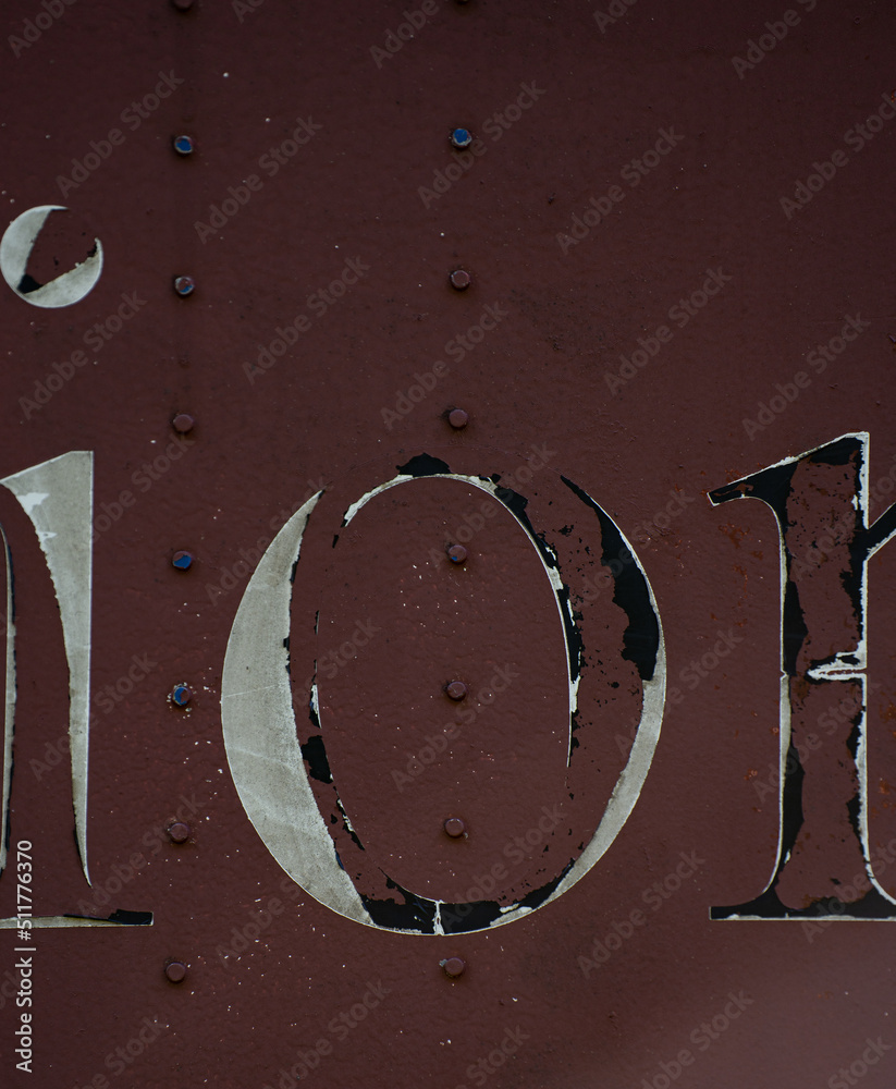 large round cactus plants without needles in spring garden in new ...