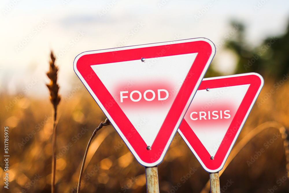 Food crisis concept. Two red road signs. Defocus blank empty triangle ...