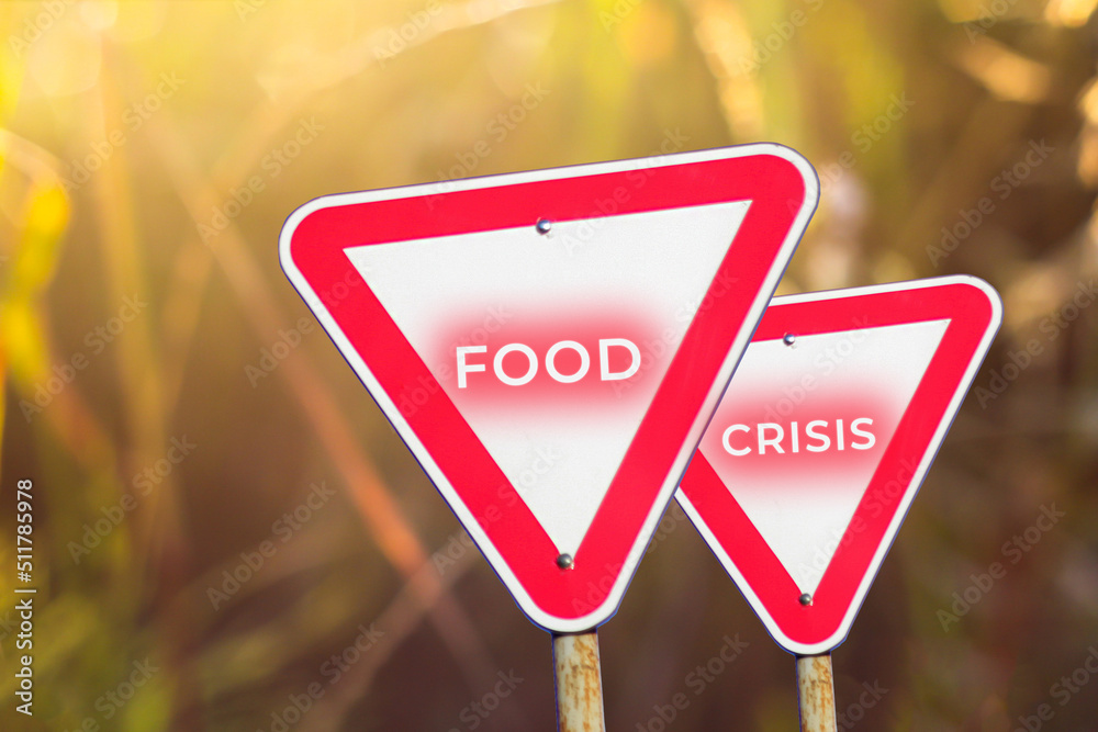Food crisis concept. Two red road signs. Defocus blank empty triangle ...