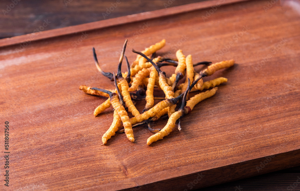 Photography of cordyceps sinensis, a nourishing Chinese herb Stock ...