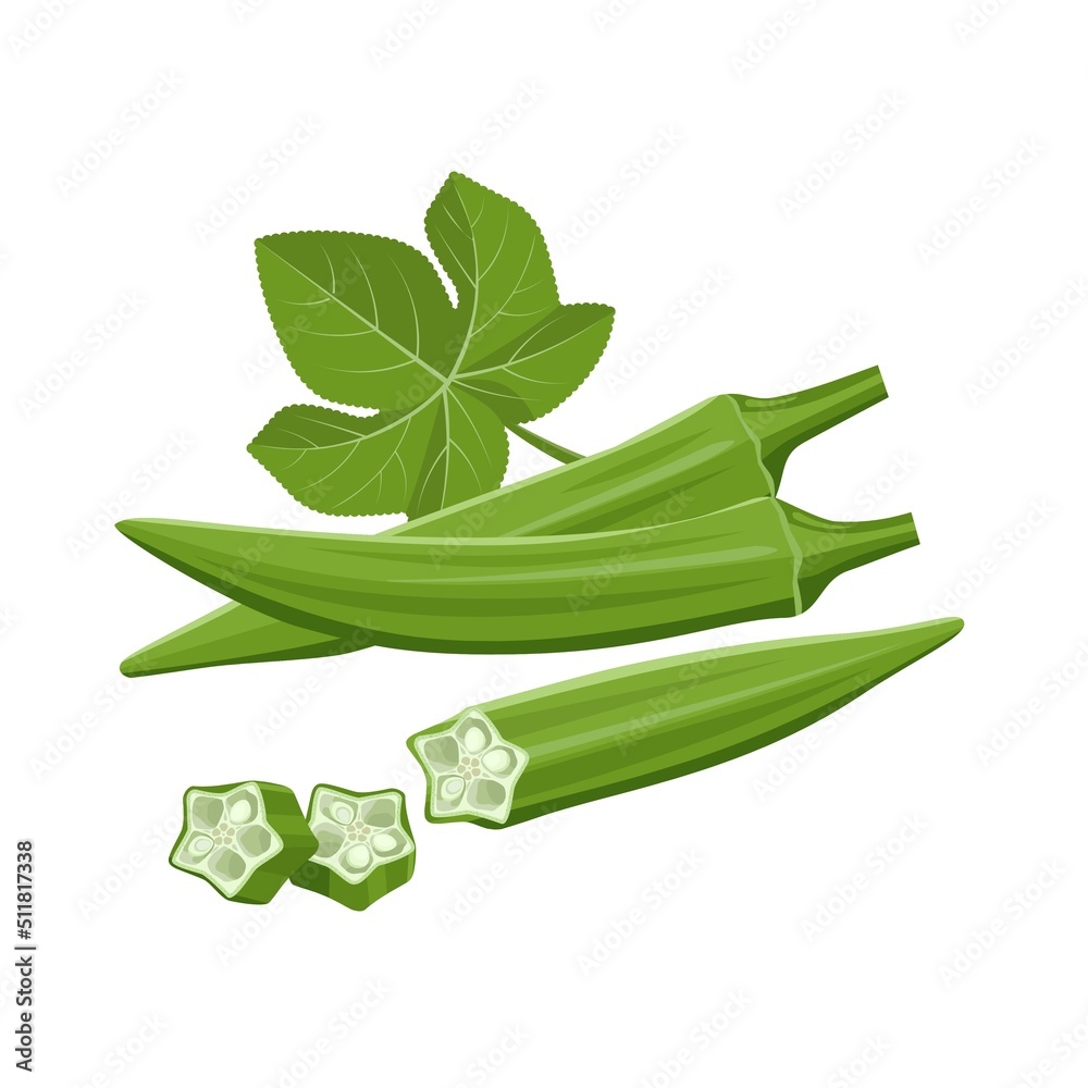 Vector illustration of fresh young Okra, with slices, and green leaves ...