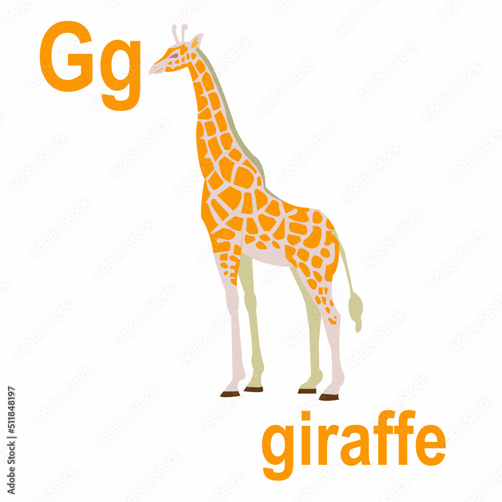Grafika wektorowa Stock: Cute giraffe, long neck, with beautiful bright ...