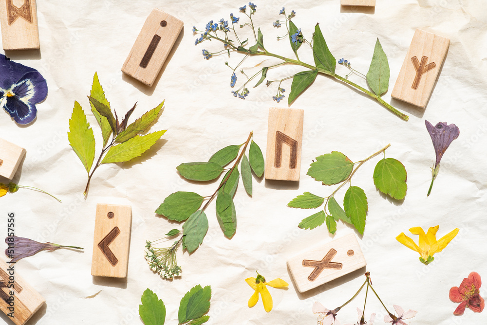 ON A WHITE PAPER BACKGROUND THERE ARE VARIOUS COLORED DRIED PLANTS AND ...