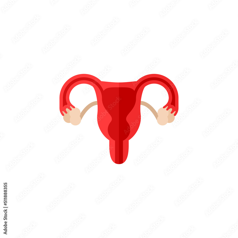Female reproductive system anatomy abstract flat icon. Human Internal ...