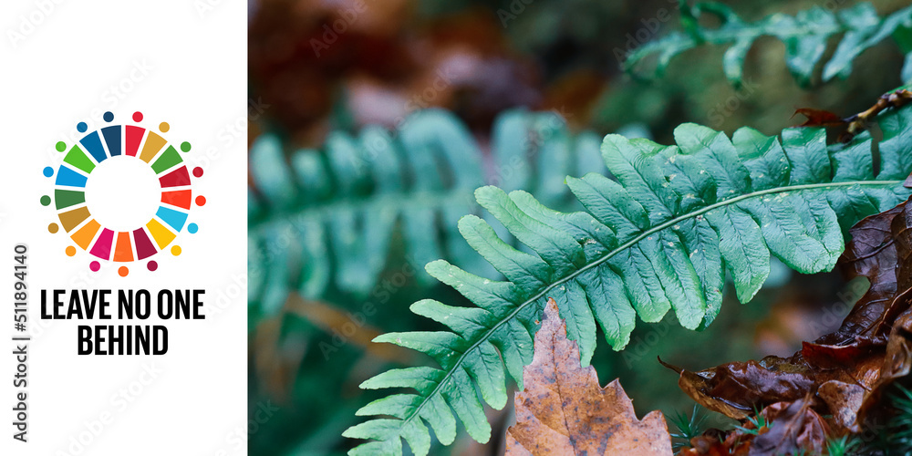 Leave No One Behind - Banner Environment - Graphic resources for ...