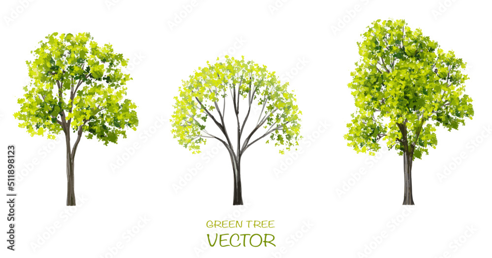 Vector watercolor of tree side view isolated on white background for ...