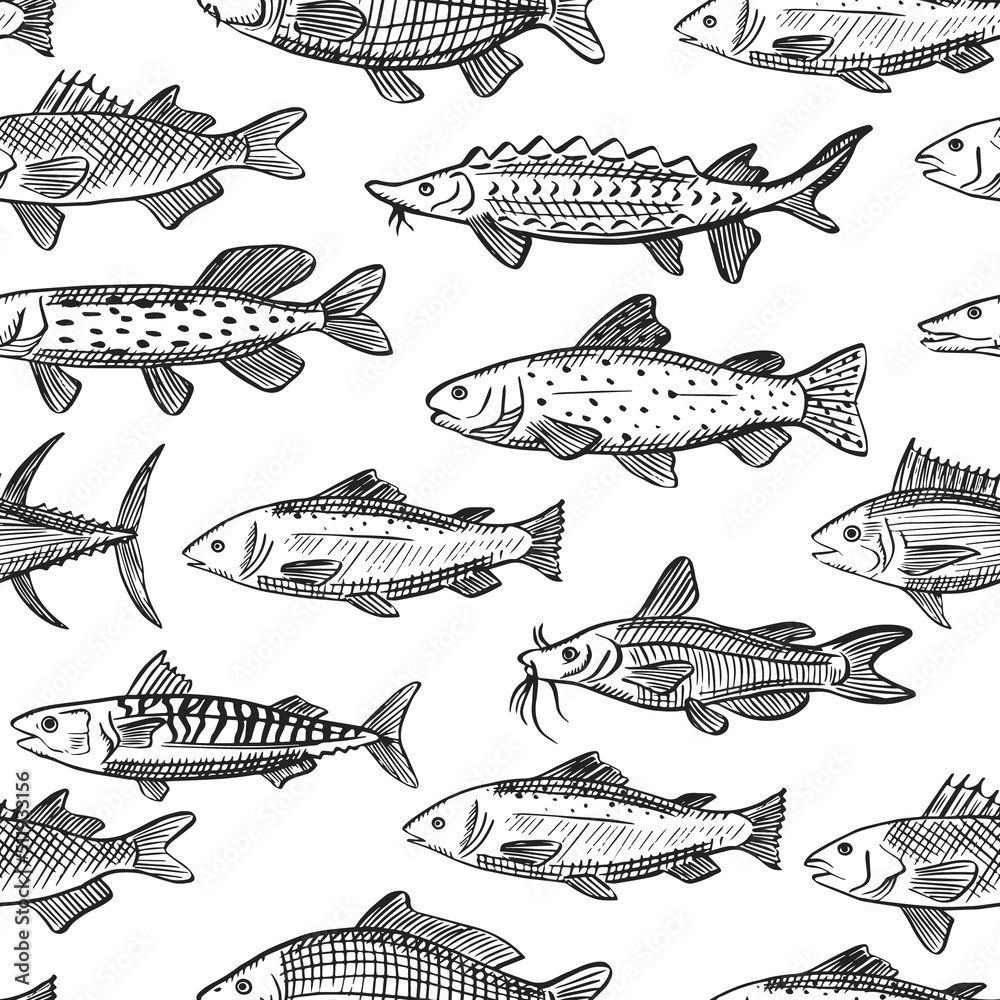 Seamless vector pattern with sketch illustrations of various sea fish ...