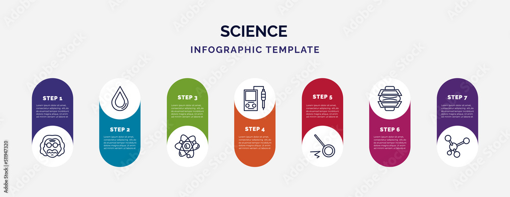Vetor de infographic template with icons and 7 options or steps ...