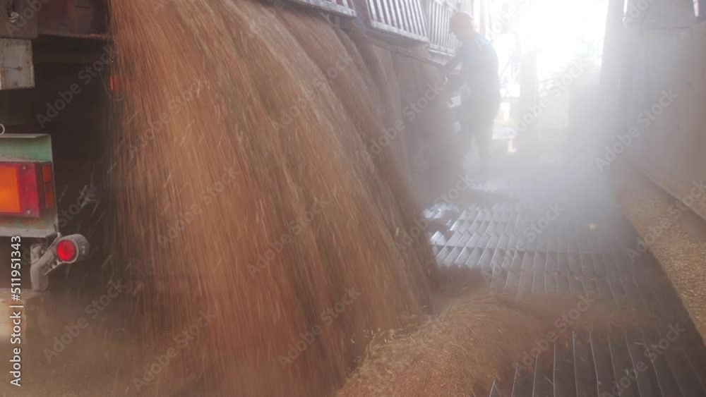 Grain lorry unloading on an elevating hydraulic platform unloader at ...