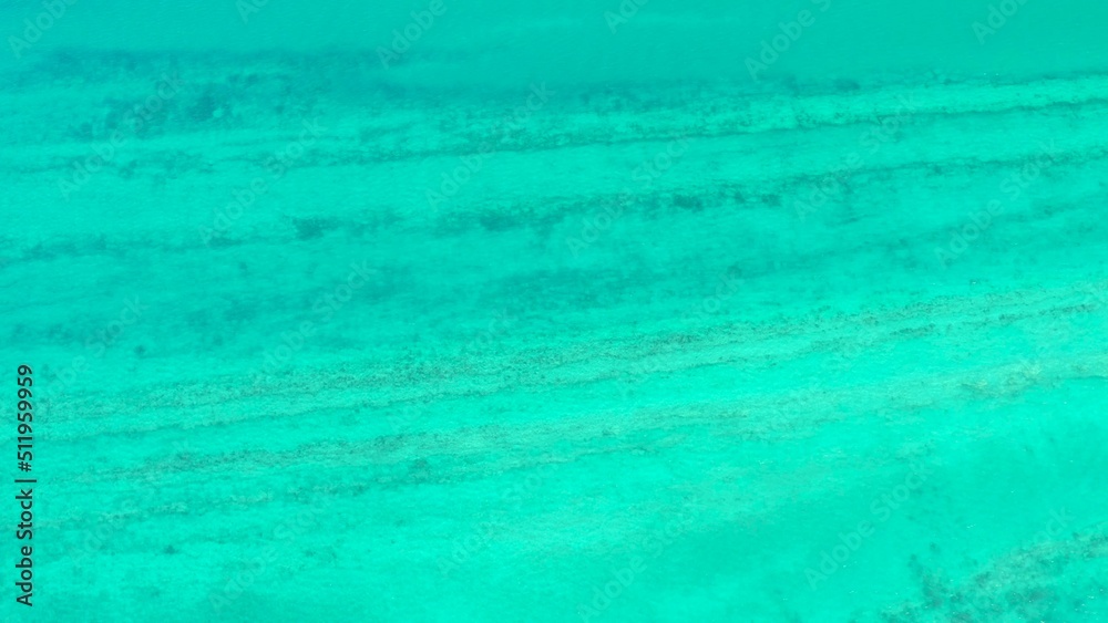 2021:CABO PULMO BCS MEXICO.A Gorgeous Blue Scene For You And Me Stock ...