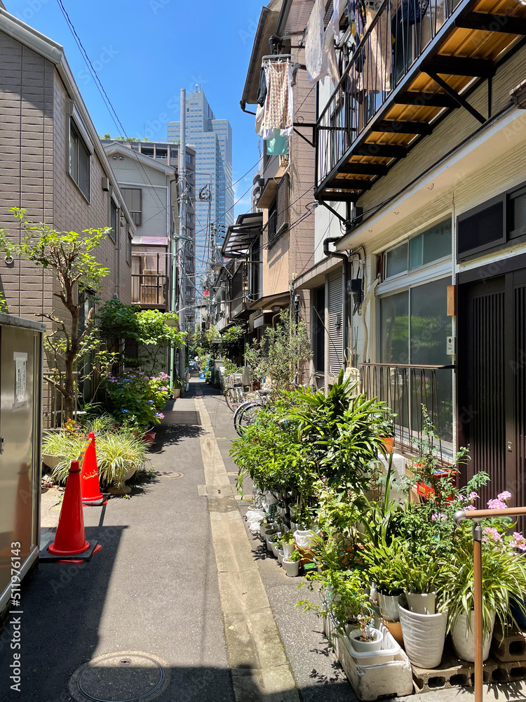 An oasis in nostalgic back alley of Japanese old folk houses in Tokyo ...