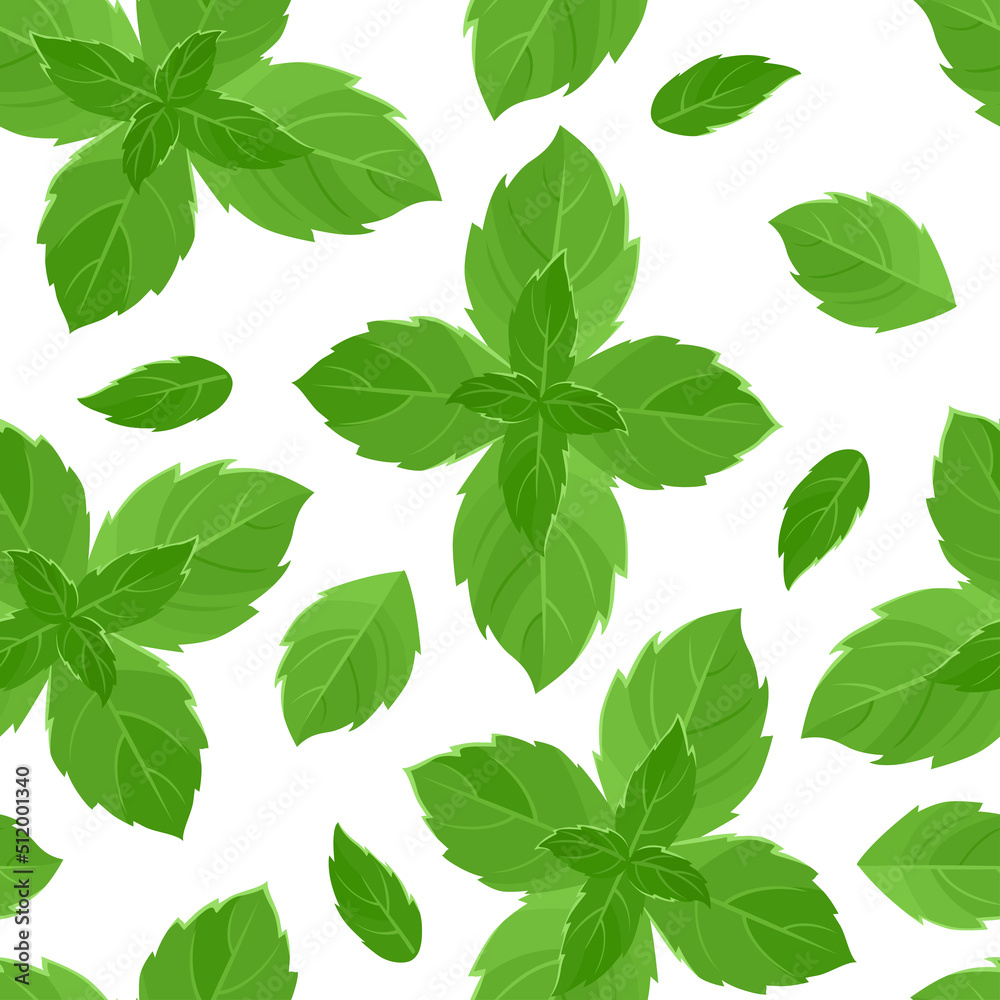 Green mint leaf seamless pattern. Vector botanical background with ...