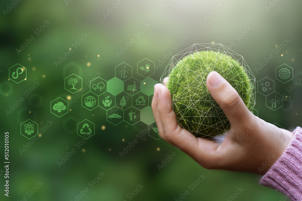 Photo & Art Print Net Zero and Carbon Neutral Concepts Net Zero ...