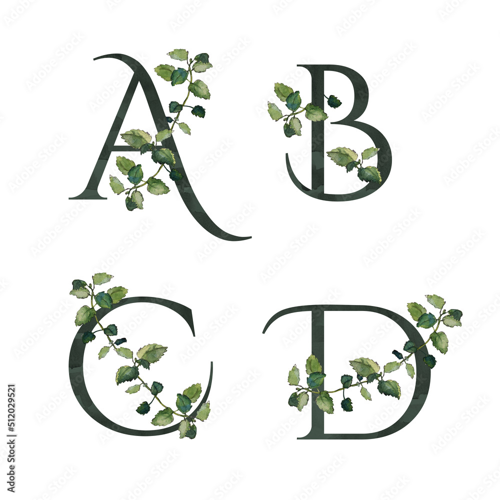 A, B, C, D initial letters; watercolor floral monograms with melissa ...