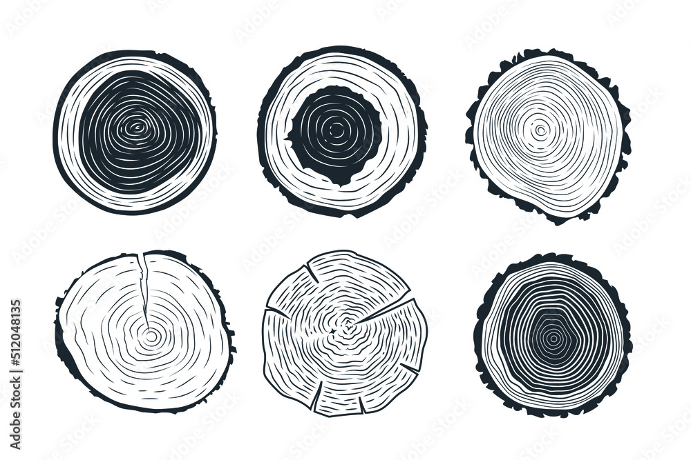 Tree trunks cross sections. Stock Vector | Adobe Stock
